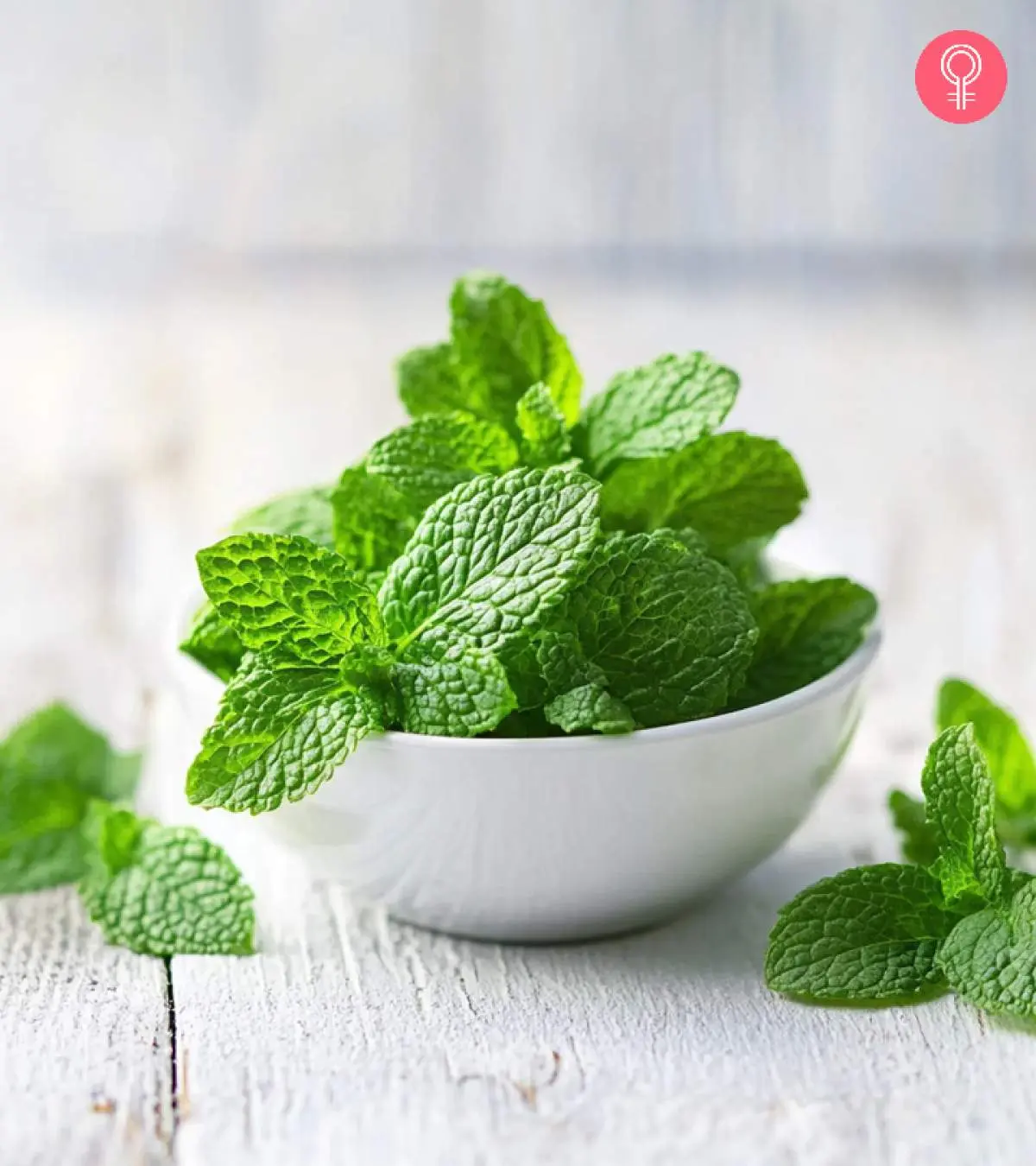 Mint Leaf