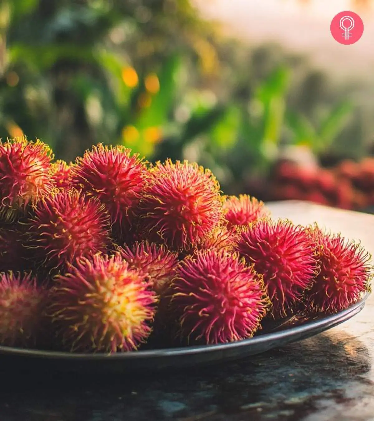 Rambutan Tree In California Rambutan Vs Lychee: A Comprehensive