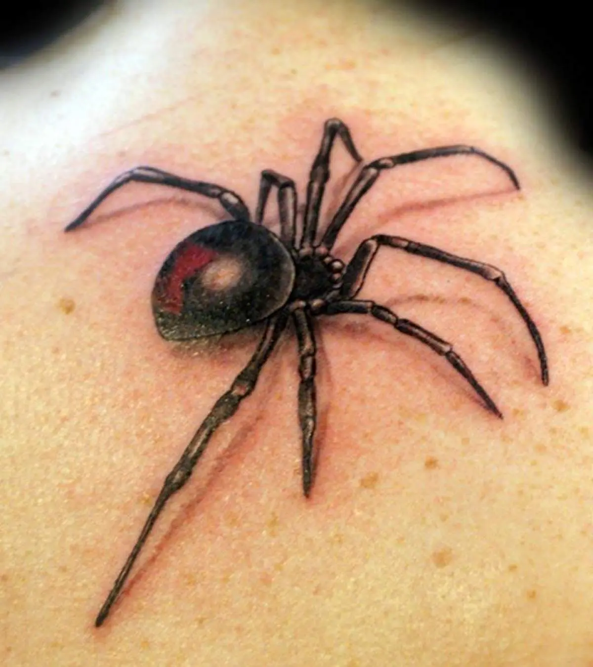 Spider Tattoo Designs: 29 Stunning Ideas For Your Next Ink