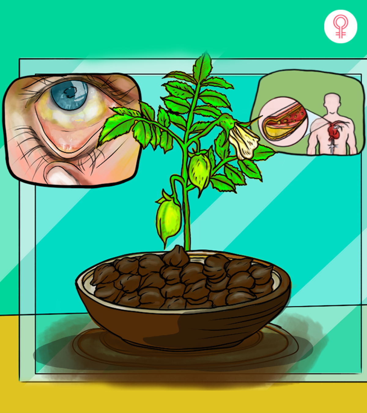 Black Chickpeas Benefits: 19 Health, Skin, And Hair Perks