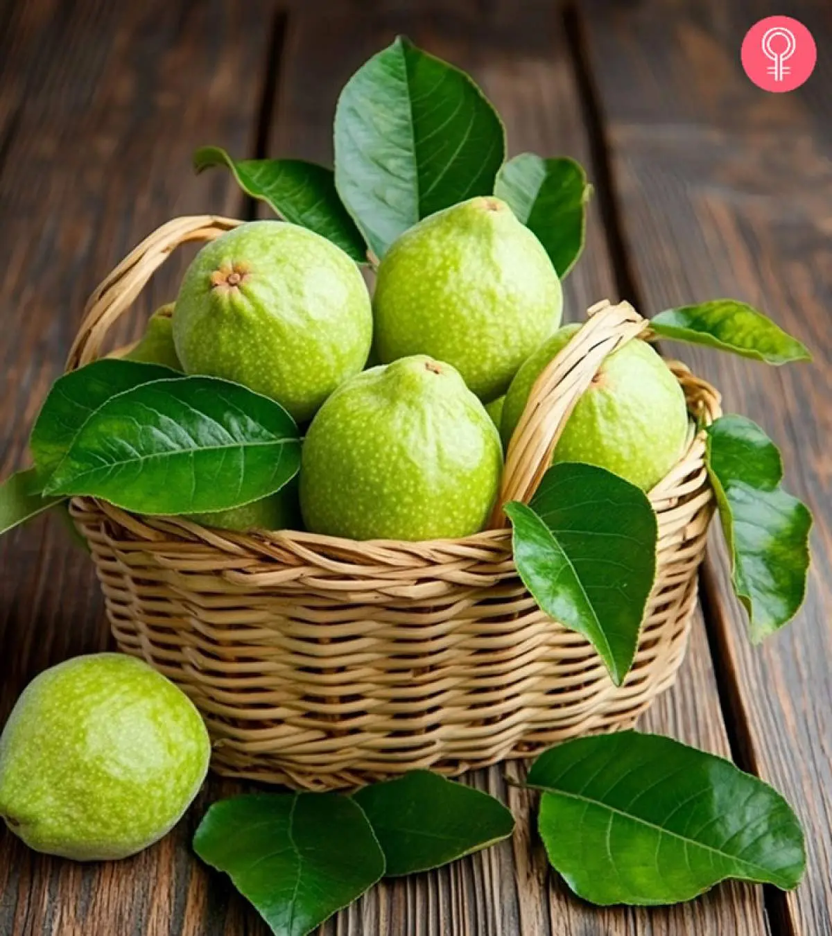 Guava Leaves Benefits: 16 Proven Health, Skin, & Hair Perks