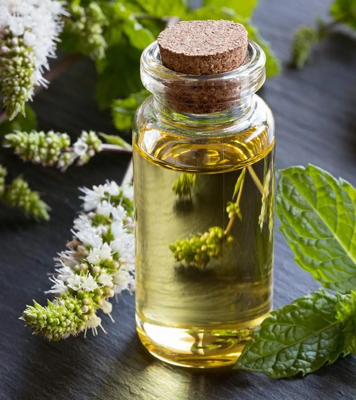 Peppermint Oil Benefits: 12 Health-Boosting Uses & Remedies