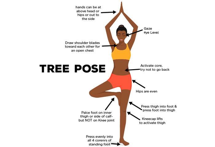 Tree Pose Variations