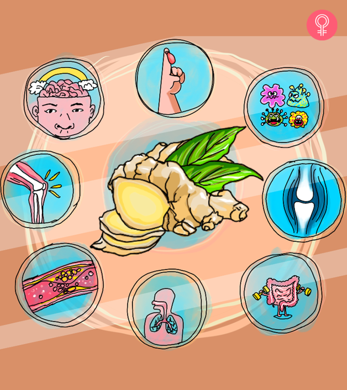 Side Effects Of Ginger: 9 Major Risks & Safety Tips