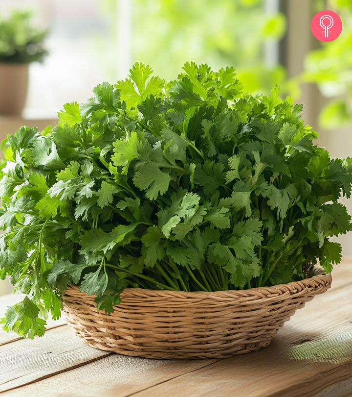 14 Dangerous Side Effects Of Cilantro