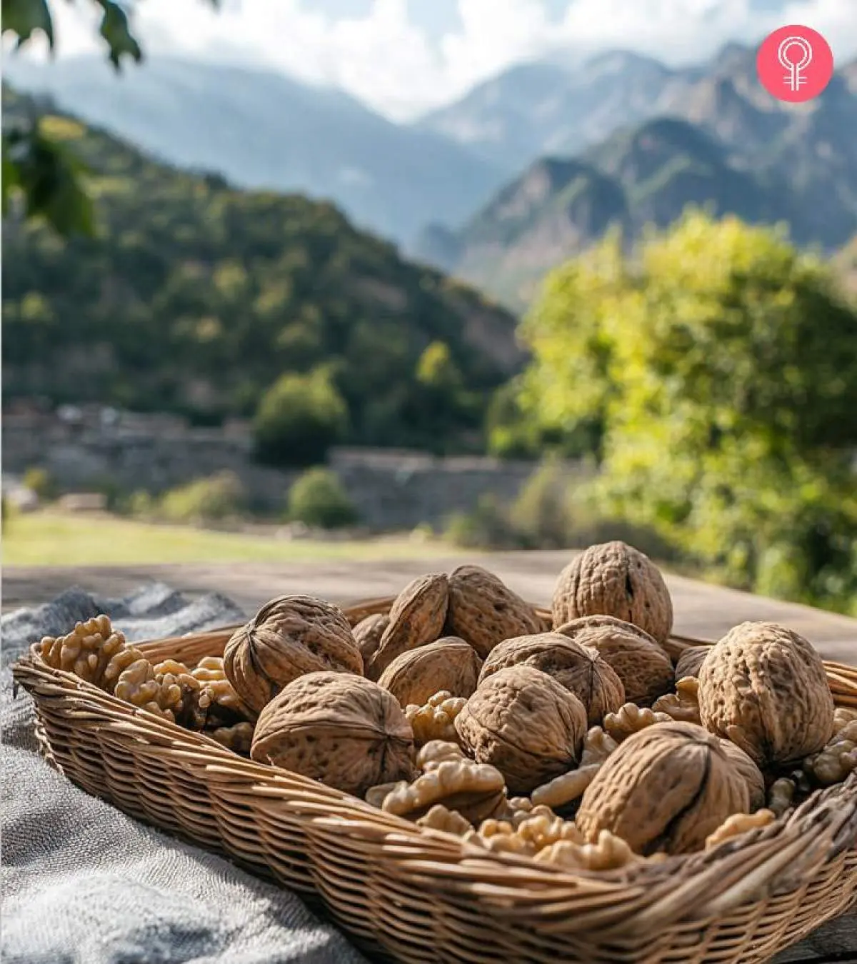 Walnuts: 5 Major Side Effects + How Many Walnuts To Eat