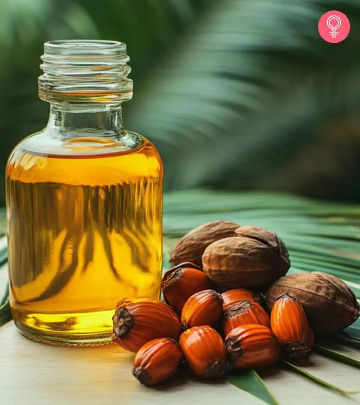 Benefits of Palm Kernel Oil For Your Health