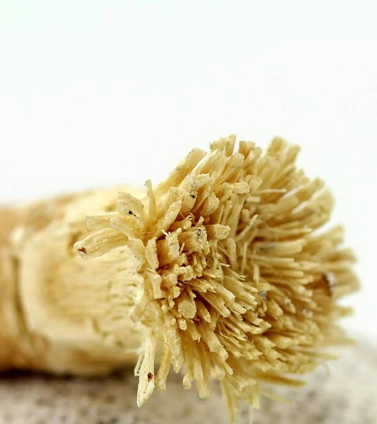 Miswak Benefits: 8 Powerful Ways It Boosts Oral Health
