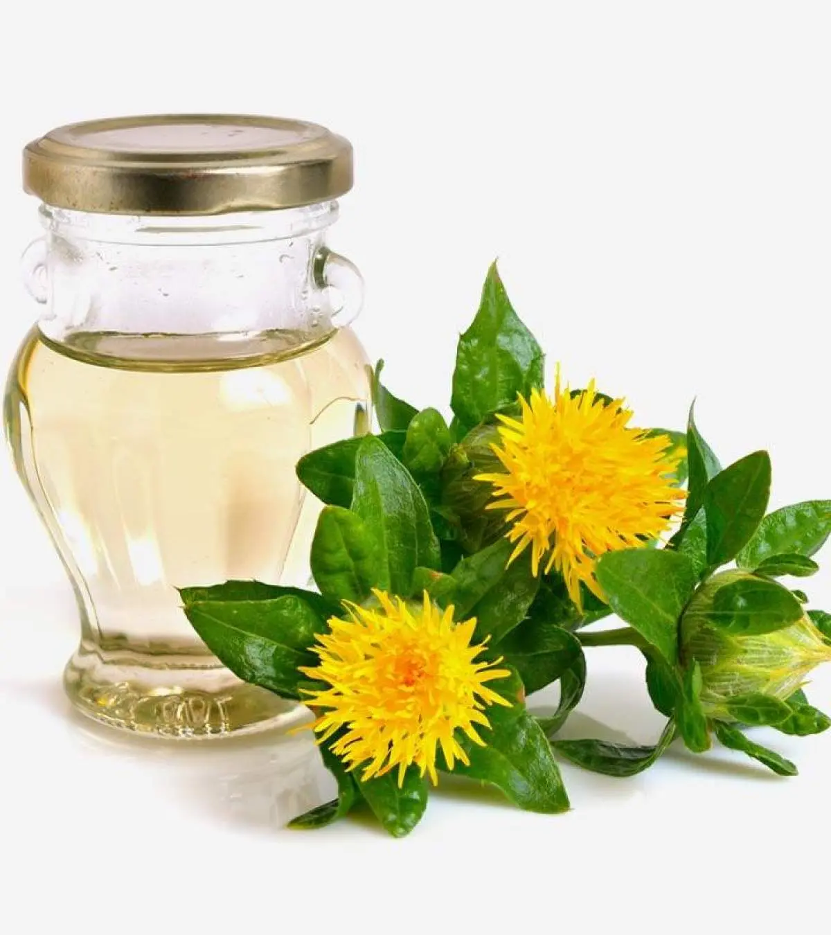 Safflower Oil For Skin: Comprehensive Guide To Benefits, Uses & Side ...