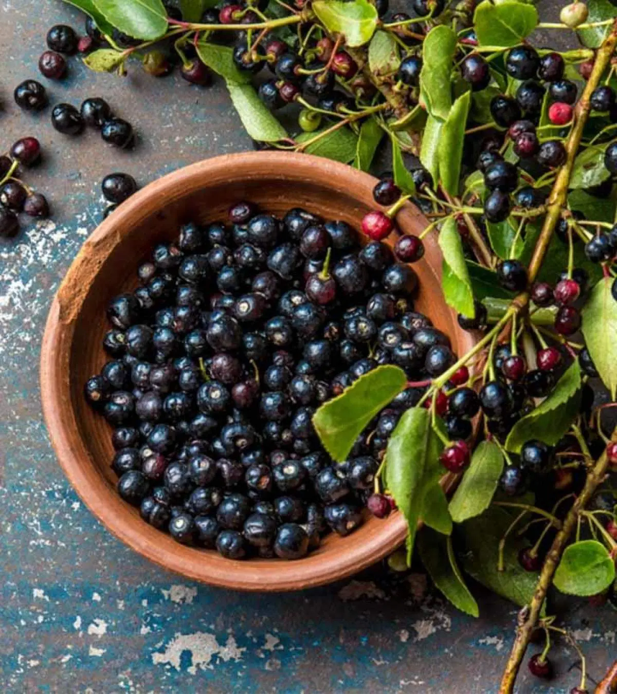 Maqui Berry Benefits: 7 Science-Backed Health Advantages