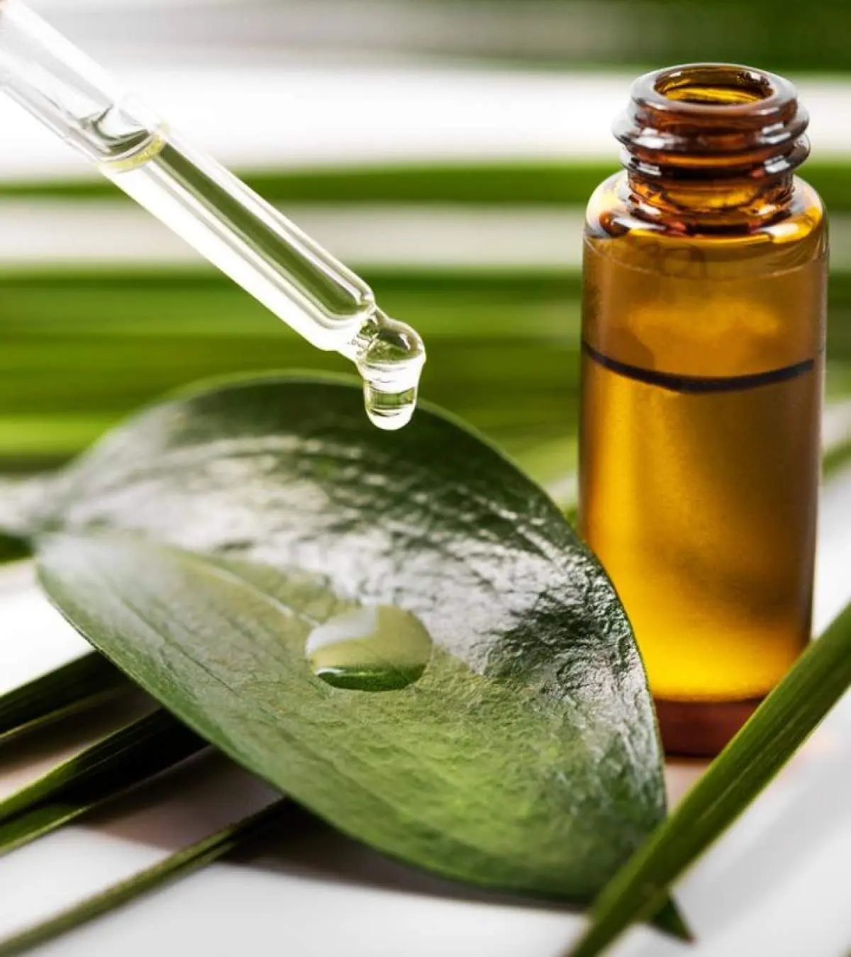 Tea Tree Oil For Toenail Fungus: Your Complete Treatment Guide