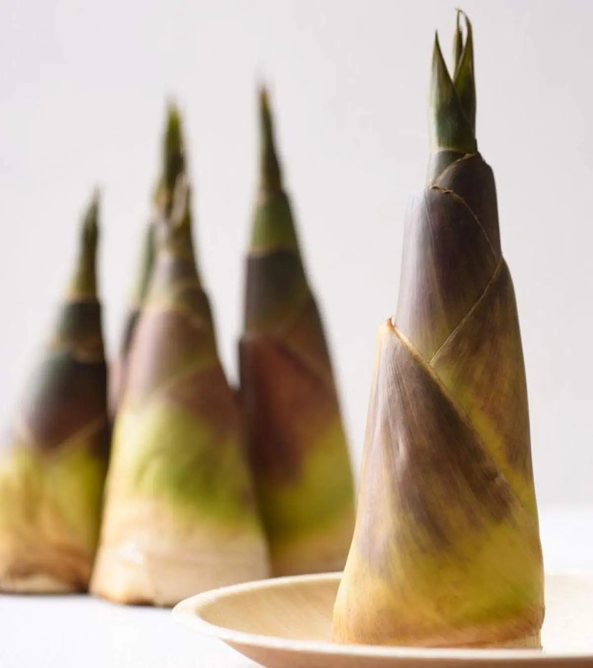 Bamboo Shoots: Nutrition, Recipes, Benefits, & Side Effects