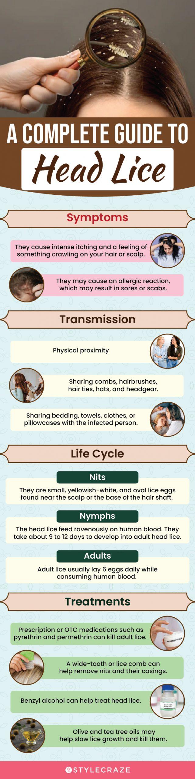Head Lice Life Cycle