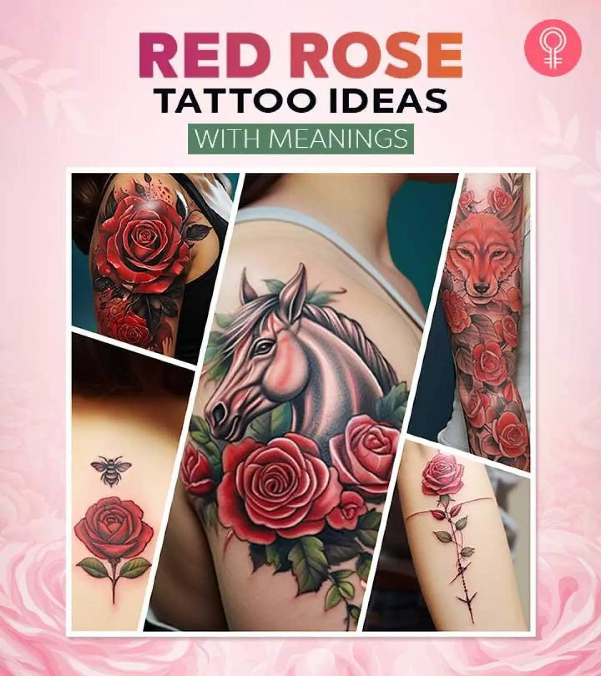 Rose And Ribbon Tattoos