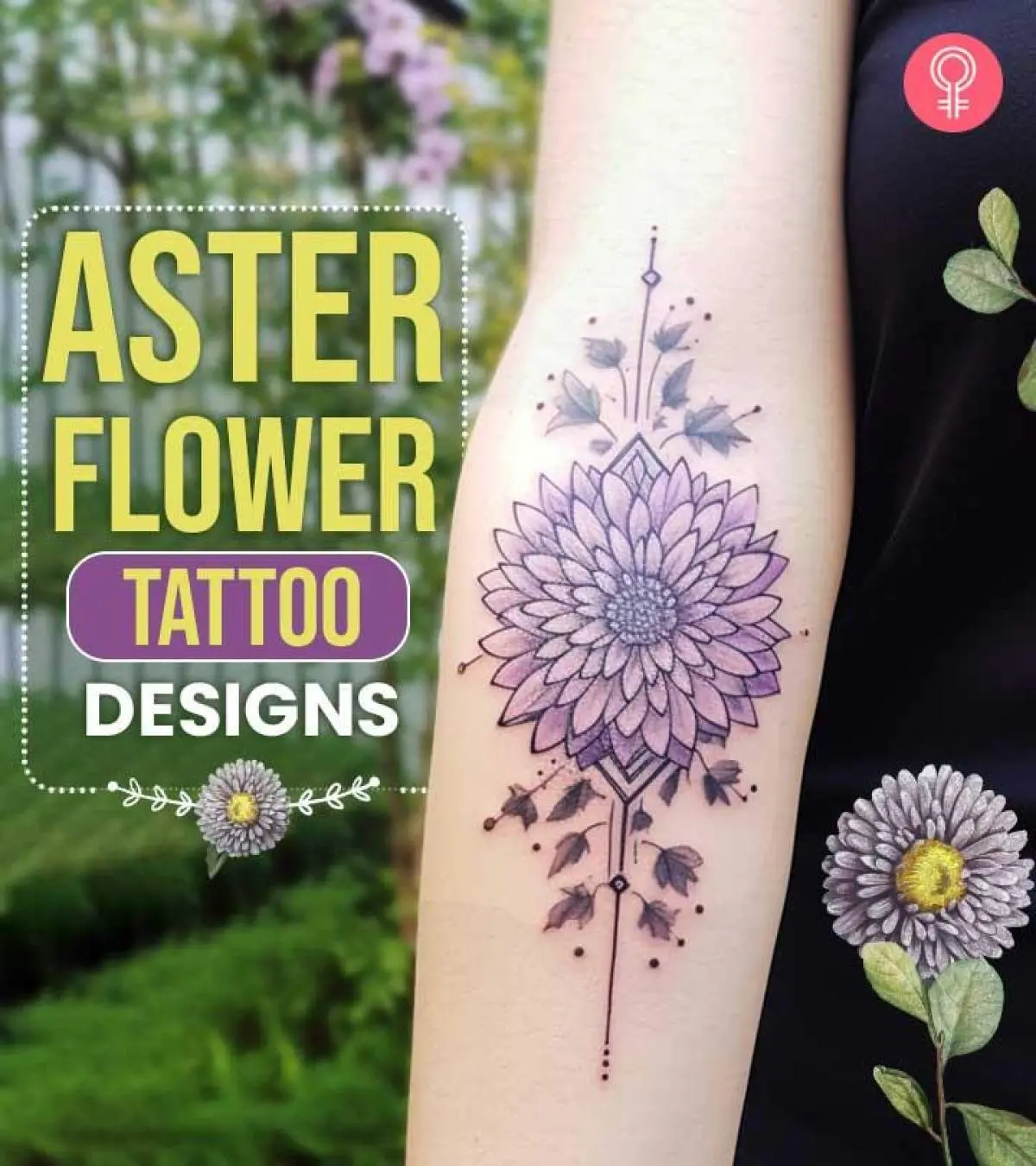 Aster Flower Tattoo Flash Do You Know What Your Birth Flower Is? Get A