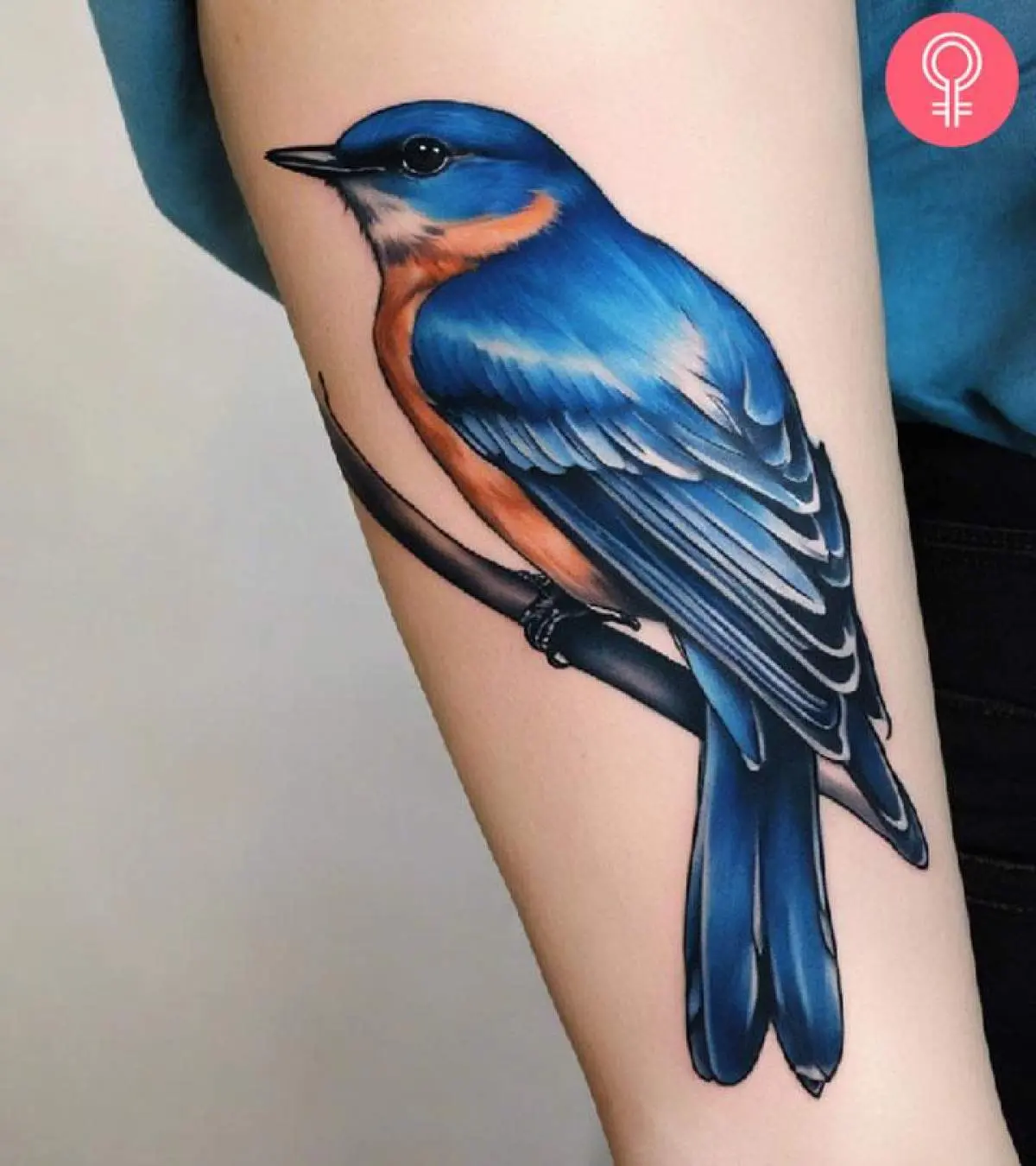 Bluebird Tattoo: 8 Stunning Designs For Joy, Freedom & Hope