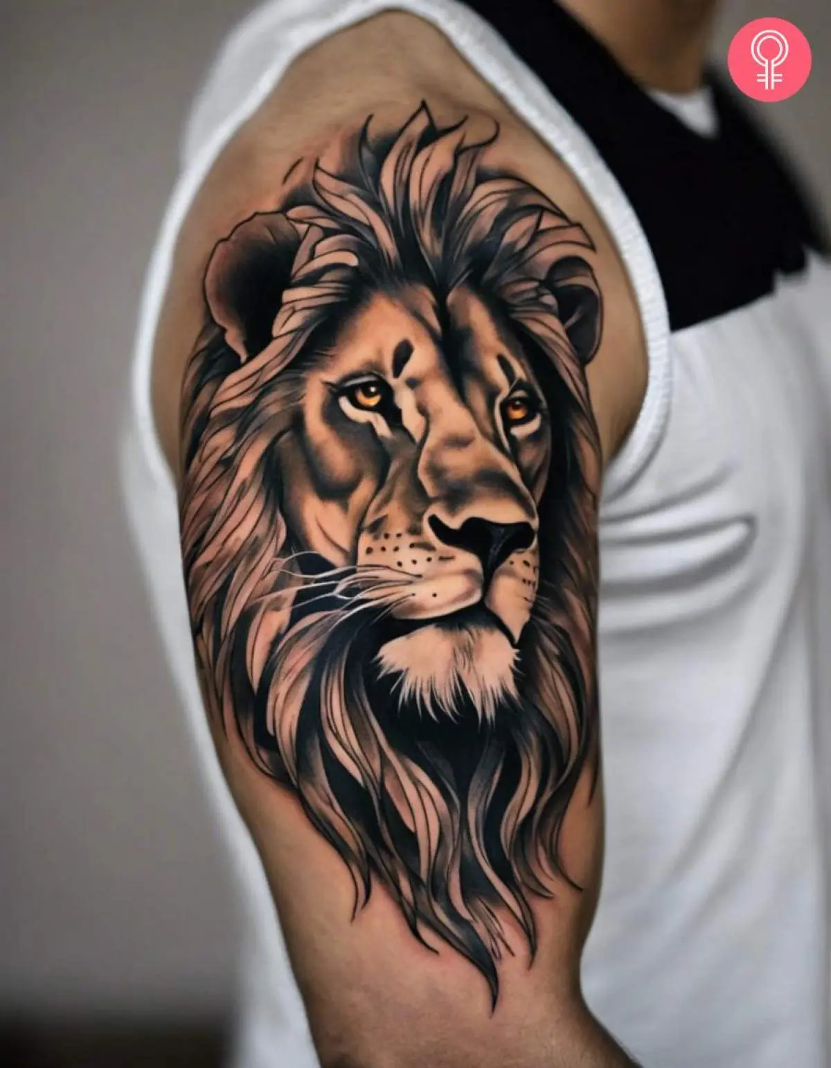 Lion Shoulder Tattoos Lion Shoulder Piece Tattoo Done Yesterday. Done