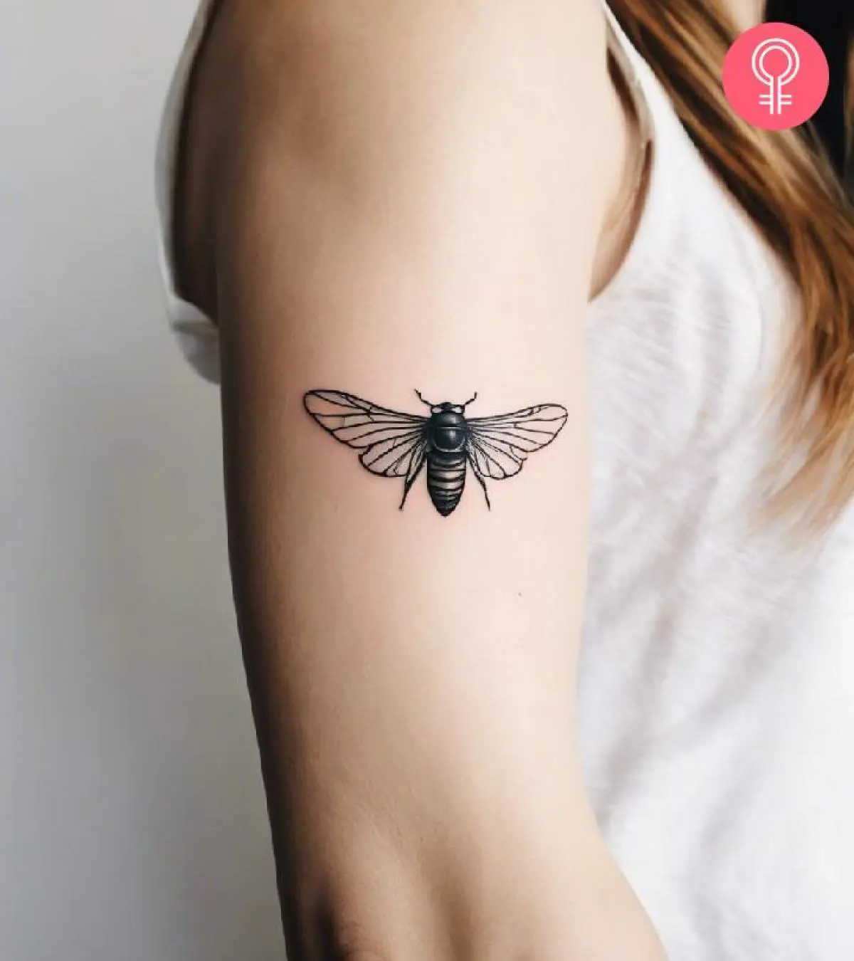8 Unique Cicada Tattoo Designs With Their Meanings
