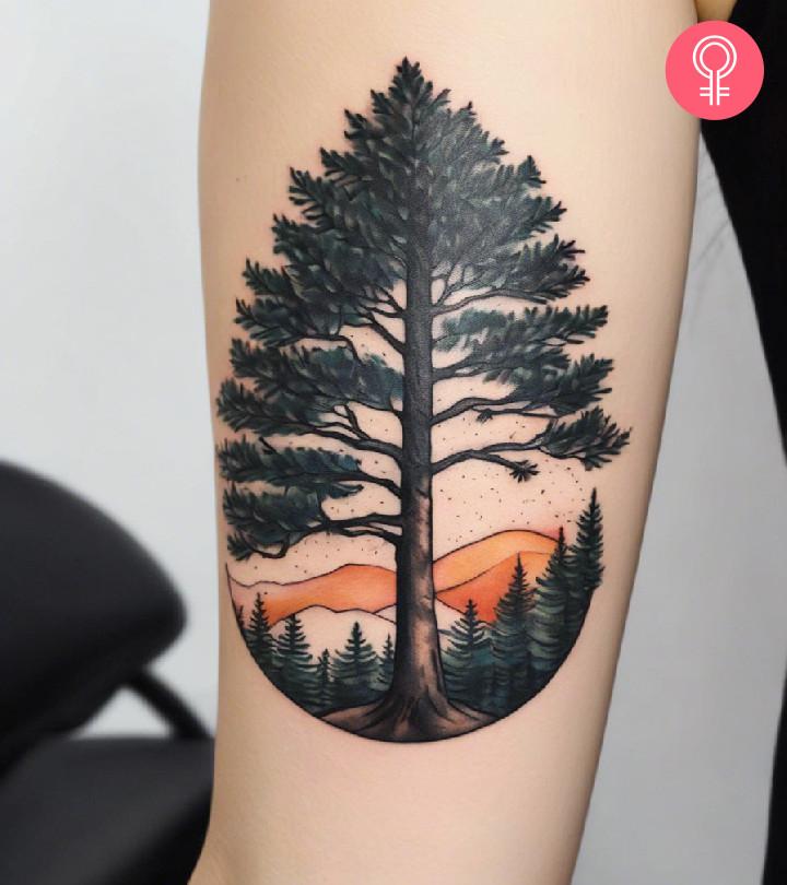 8 Scenic Pine Tree Tattoos