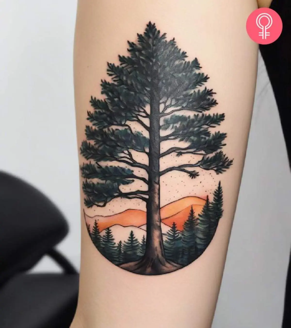 Pine Tree Tattoos For Men 25 Tree Tattoos For Men – Honcho – Modus