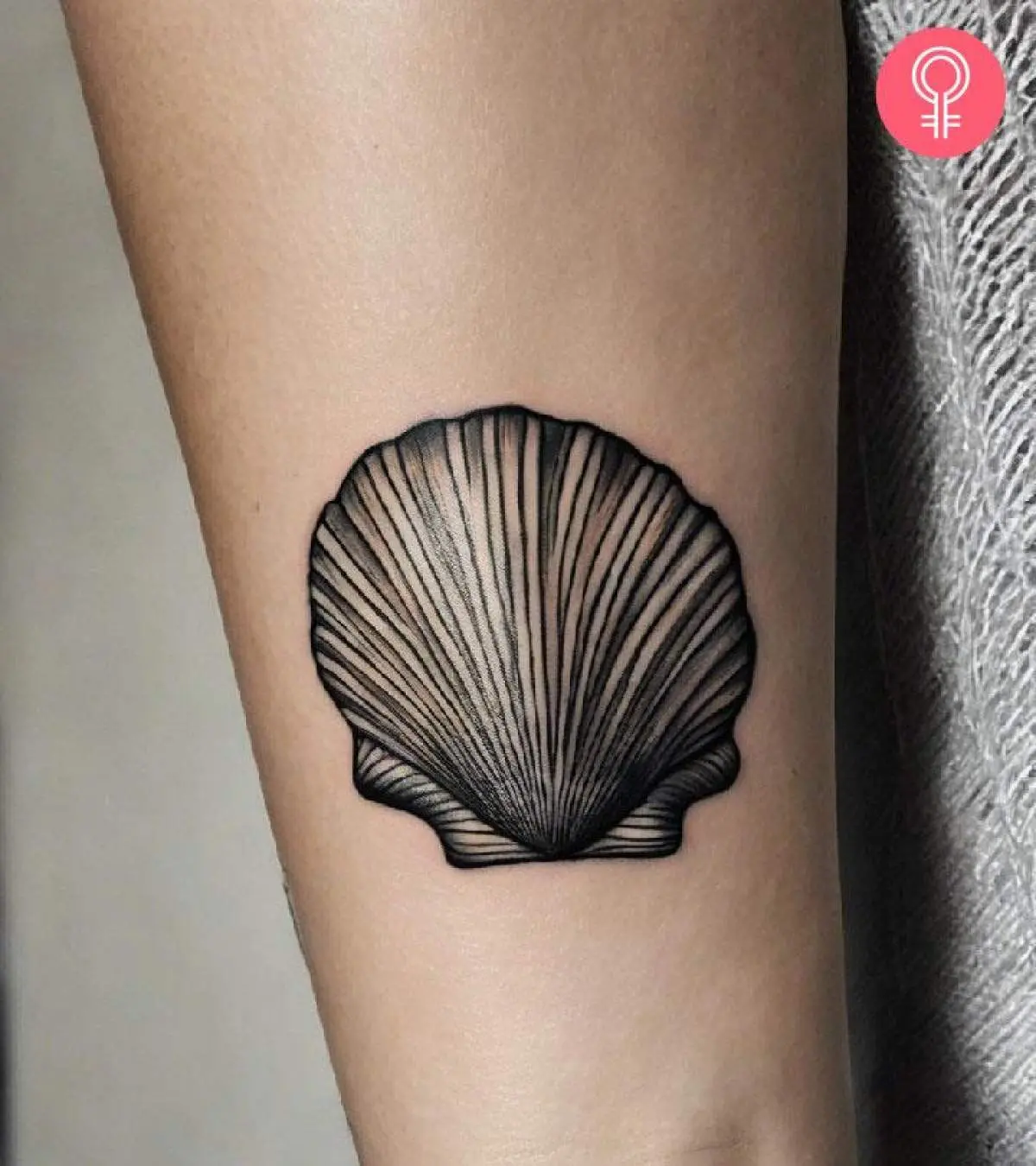 8 Unique Shell Tattoo Designs And Their Meanings