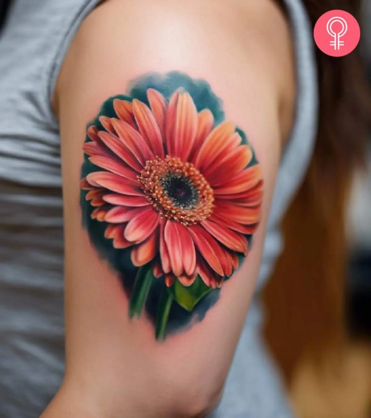 Traditional Gerbera Daisy Tattoo Traditional Vs. Neo Traditional