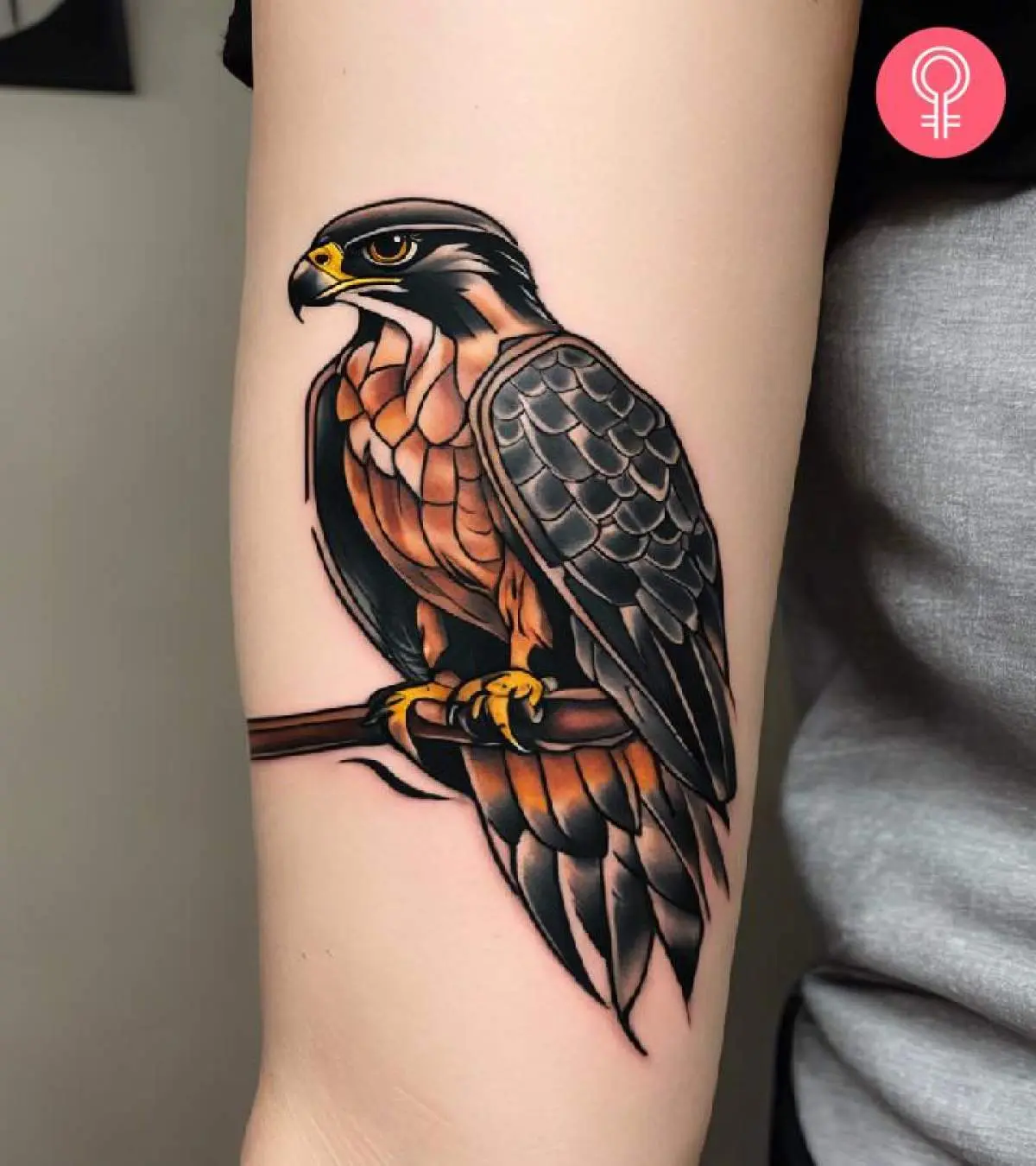 Falcon Tattoo Meaning: 11 Powerful Symbols And Stunning Ideas