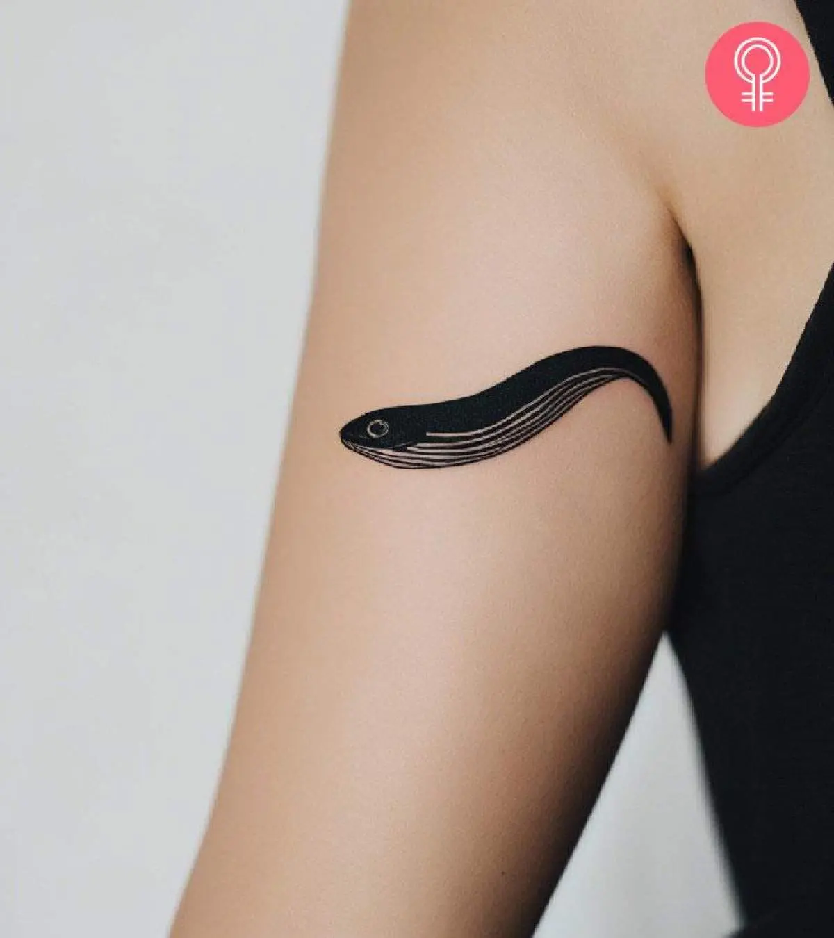 8 Mesmerizing Eel Tattoos to Ignite Your Ink Inspiration