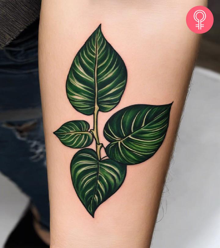8 Best Pothos Tattoo Ideas With Meanings