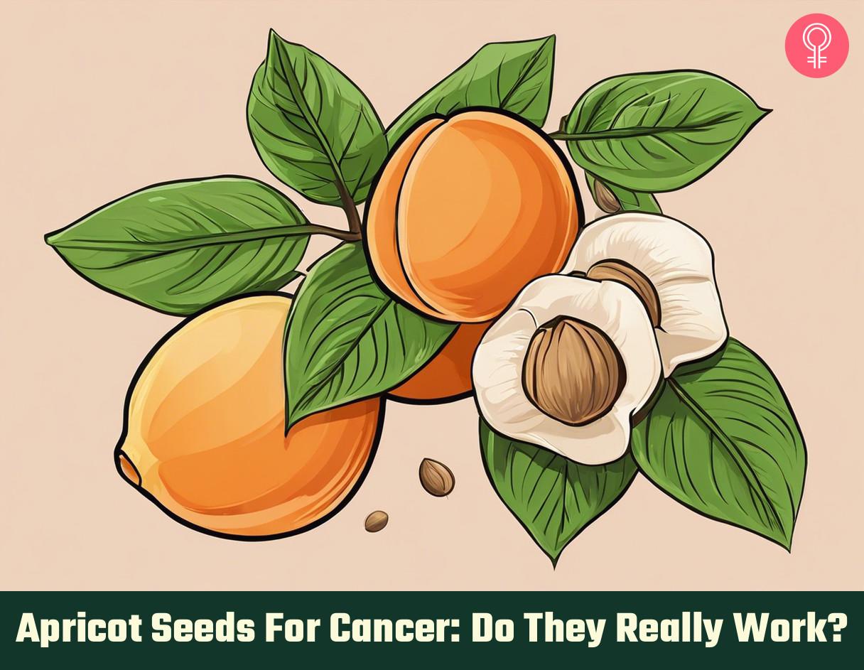 Apricot Seeds For Cancer: Do They Really Work?