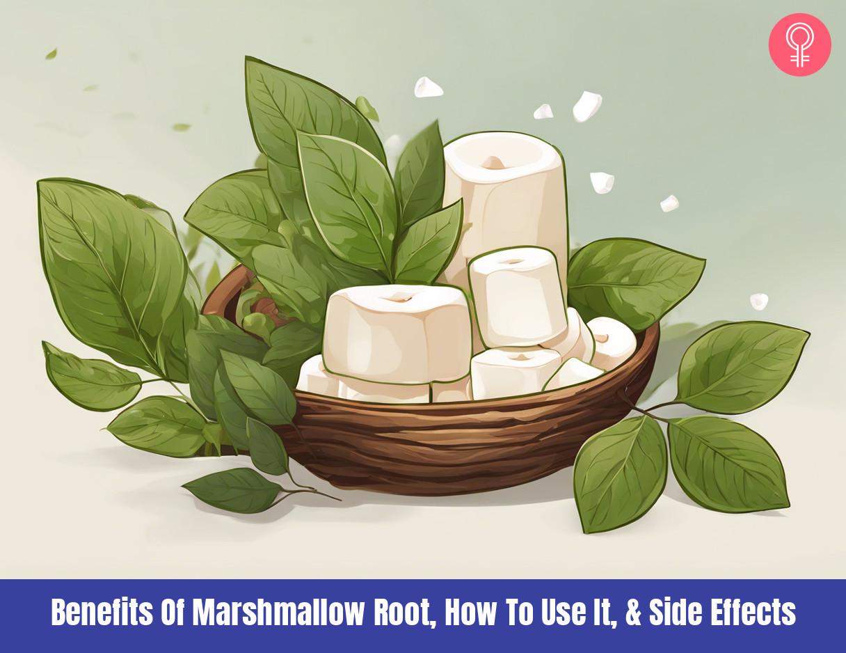 Marshmallow Benefits For Skin: Marshmallow Benefits And Uses – TZXPTR