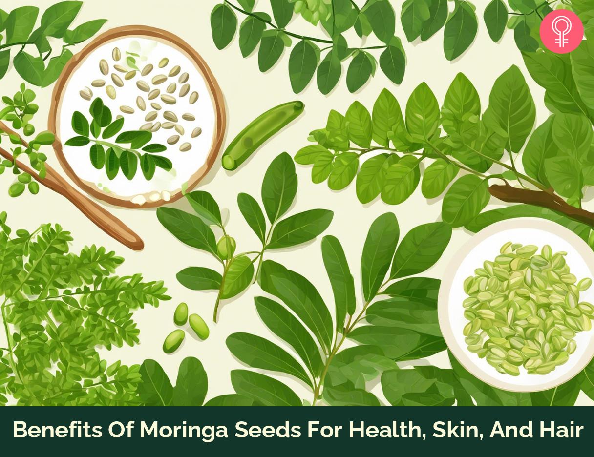 Benefits Of Moringa Seeds For Health, Skin, And Hair