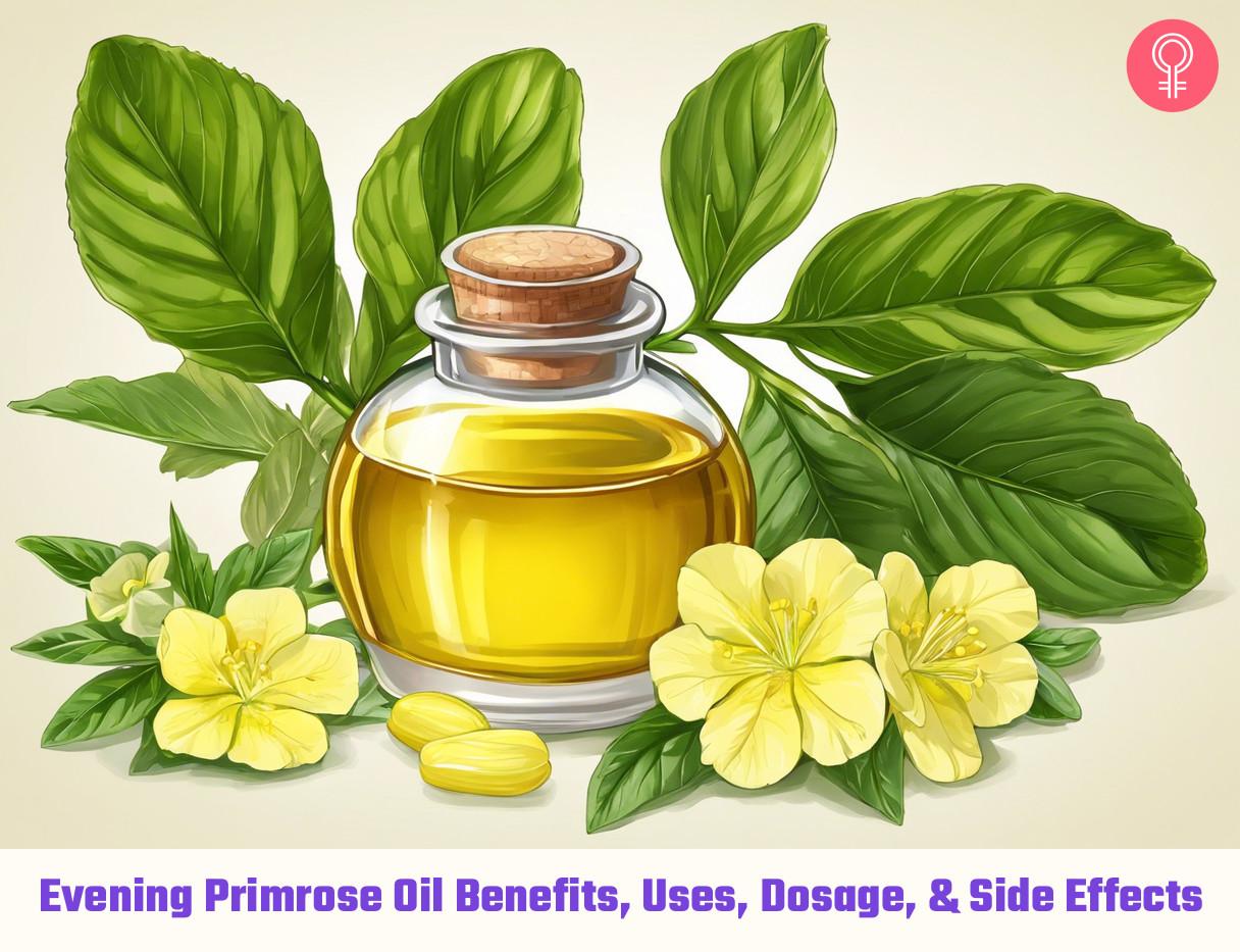 Evening Primrose Oil Benefits Uses Dosage And Side Effects