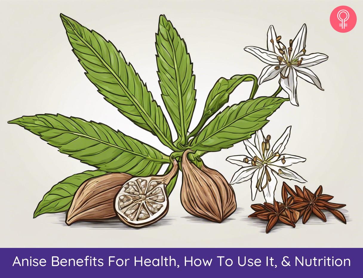 Top 9 Anise Benefits For Health, How To Use It, & Nutrition