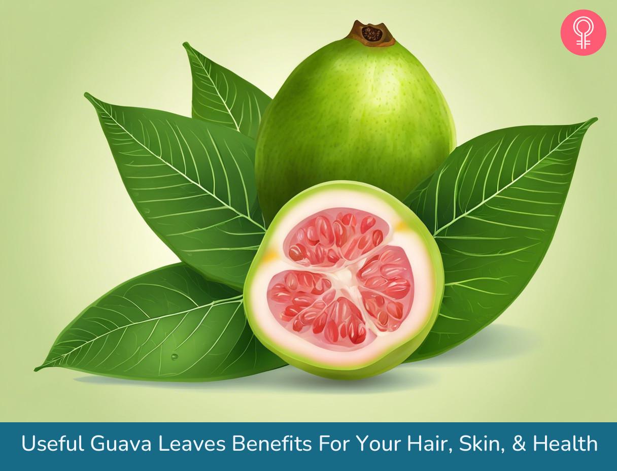 16 Useful Guava Leaves Benefits For Your Hair, Skin, & Health